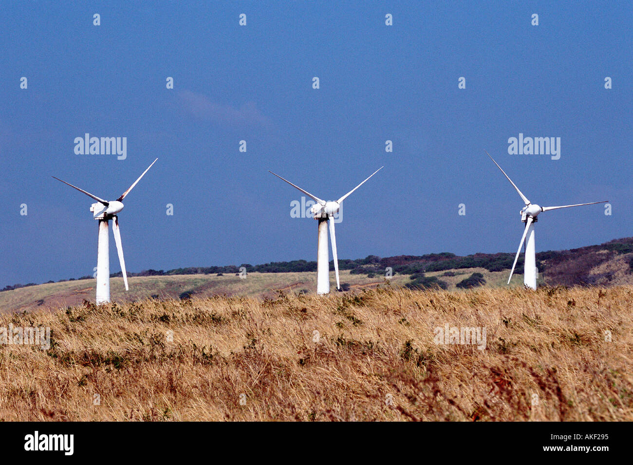 Alternative Hawaii High Resolution Stock Photography and Images - Alamy
