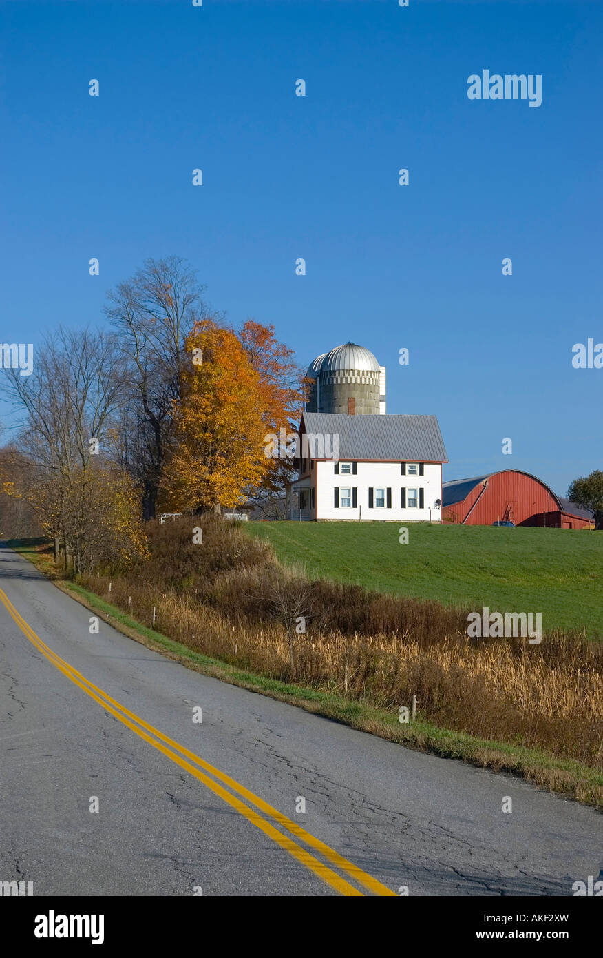 Vermont family dairy farm with road, autumn trees, barn, and silo Stock ...