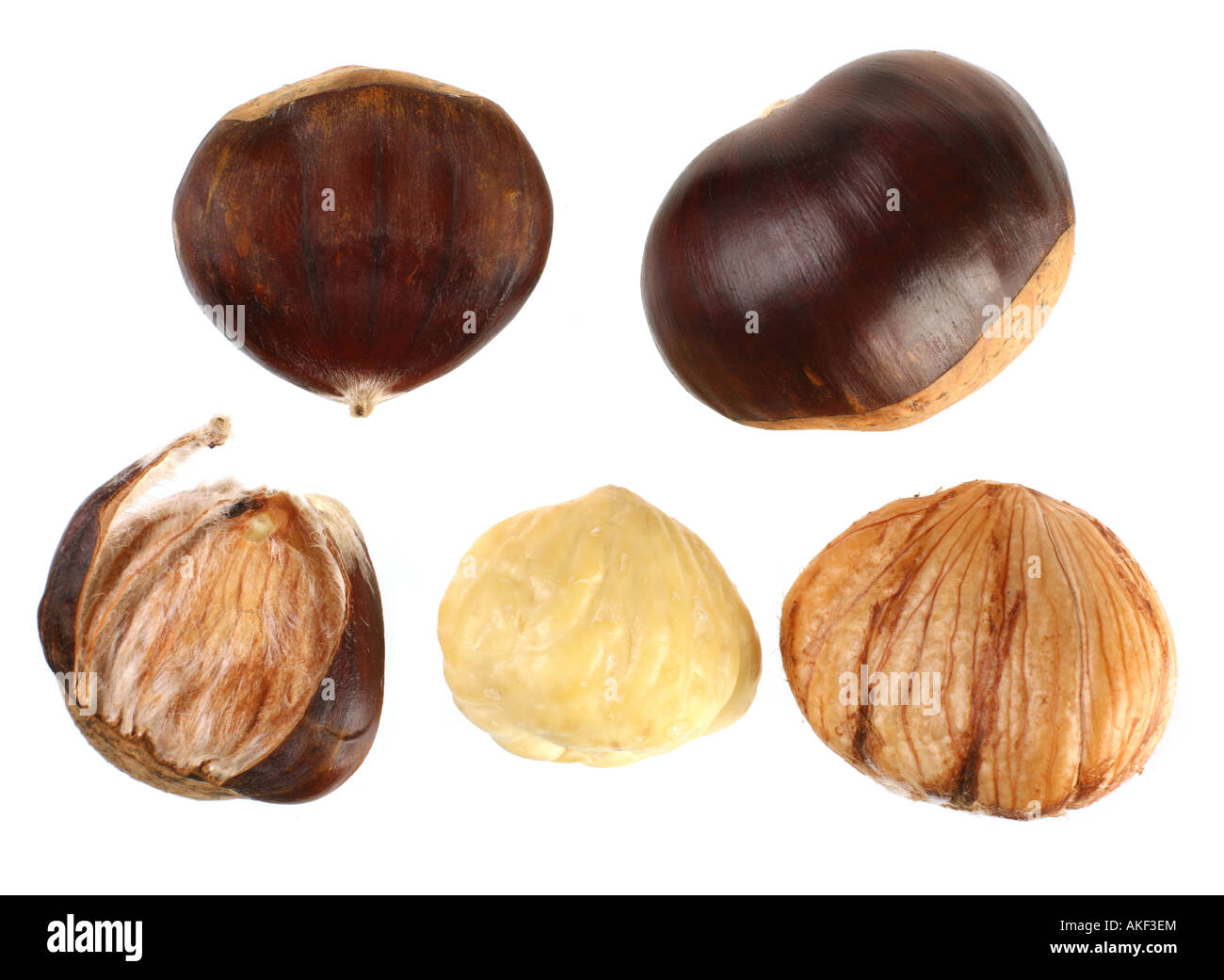 Chestnut set macro isolated on white background Stock Photo - Alamy