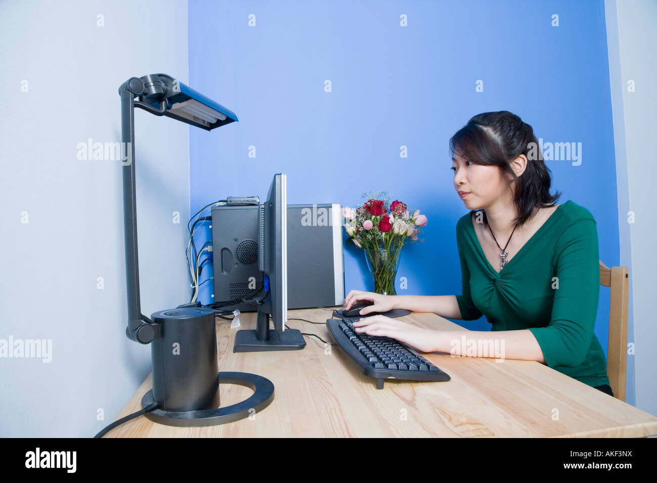 Side profile of a young woman using a computer Stock Photo - Alamy