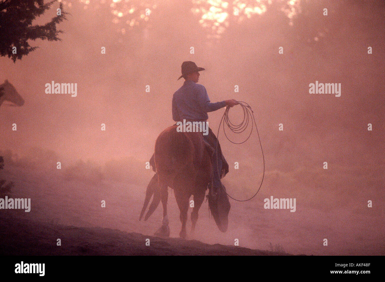 Cowboy in mist hi-res stock photography and images - Alamy