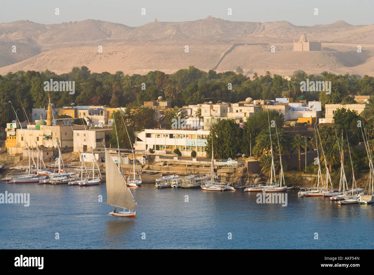 Faluka,sailing boat on Nile river at Aswan. Elephant island Stock Photo ...