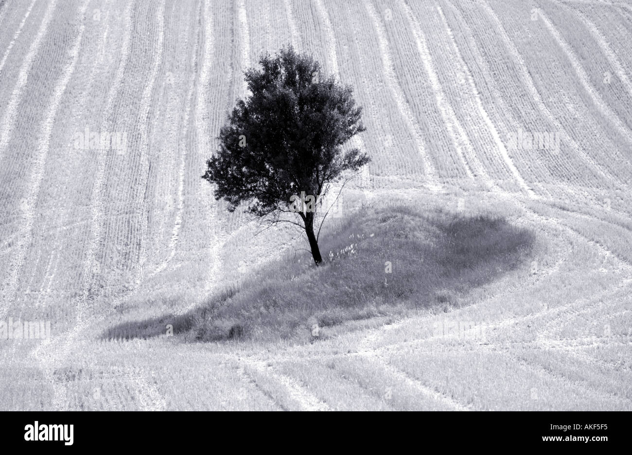 Monotone landscape hi-res stock photography and images - Alamy