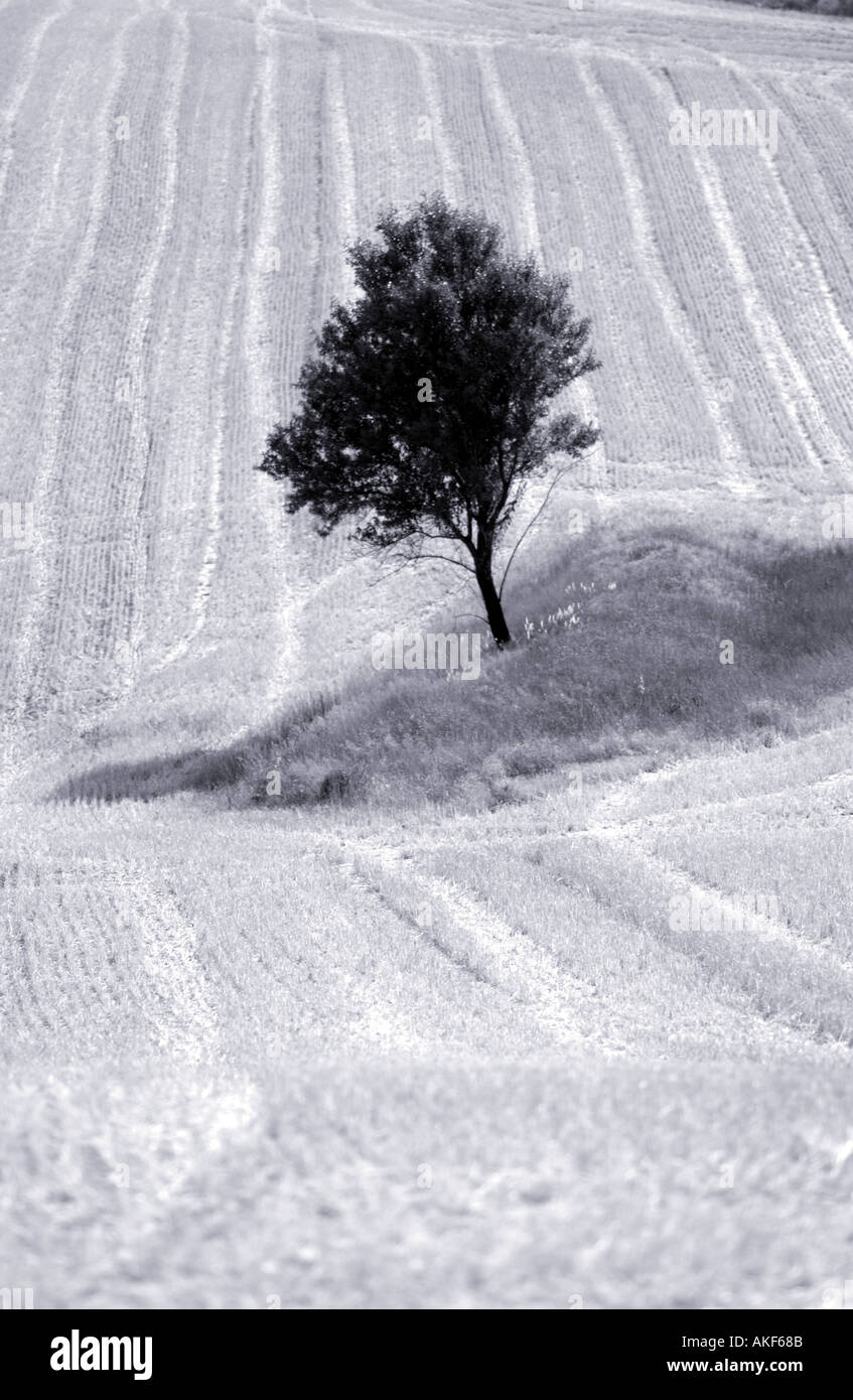 Monotone landscape hi-res stock photography and images - Alamy