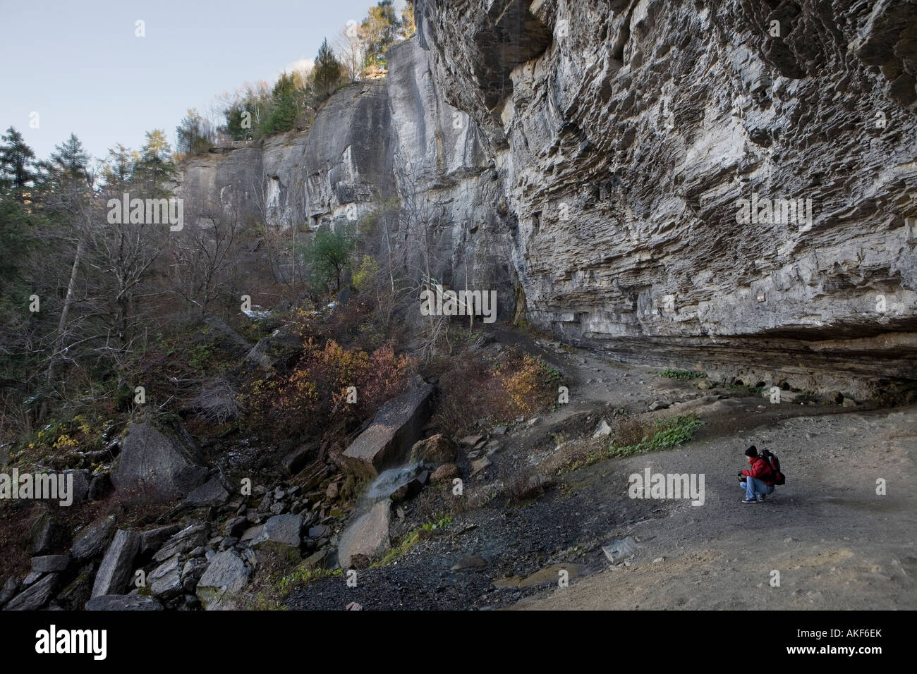 The Helderberg escarpment John S Thatcher State Park upstate New York ...