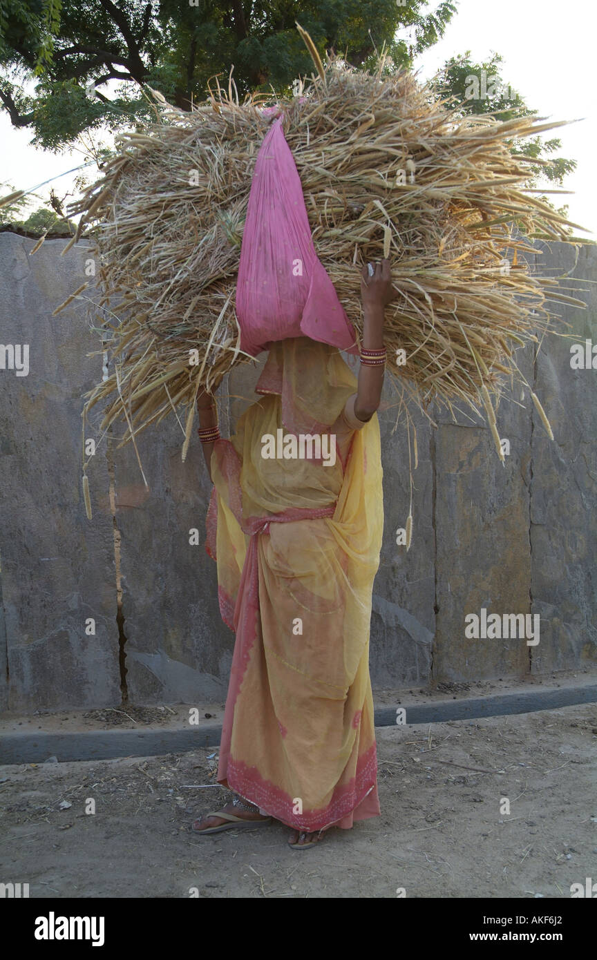Indian woman carrying bundle in hi-res stock photography and images - Alamy