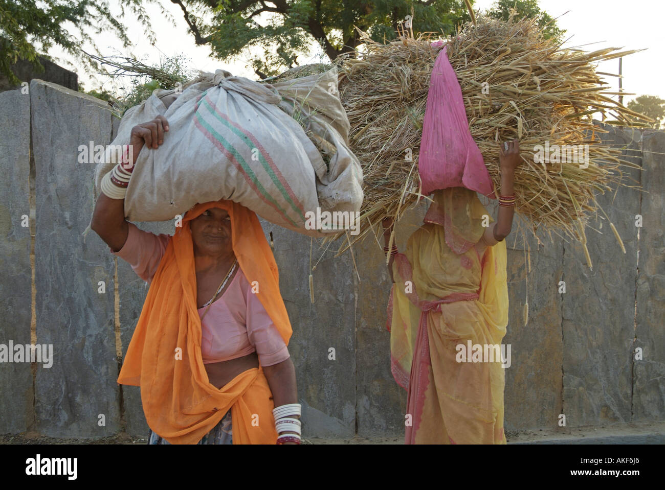 Indian woman carrying bundle in hi-res stock photography and images - Alamy