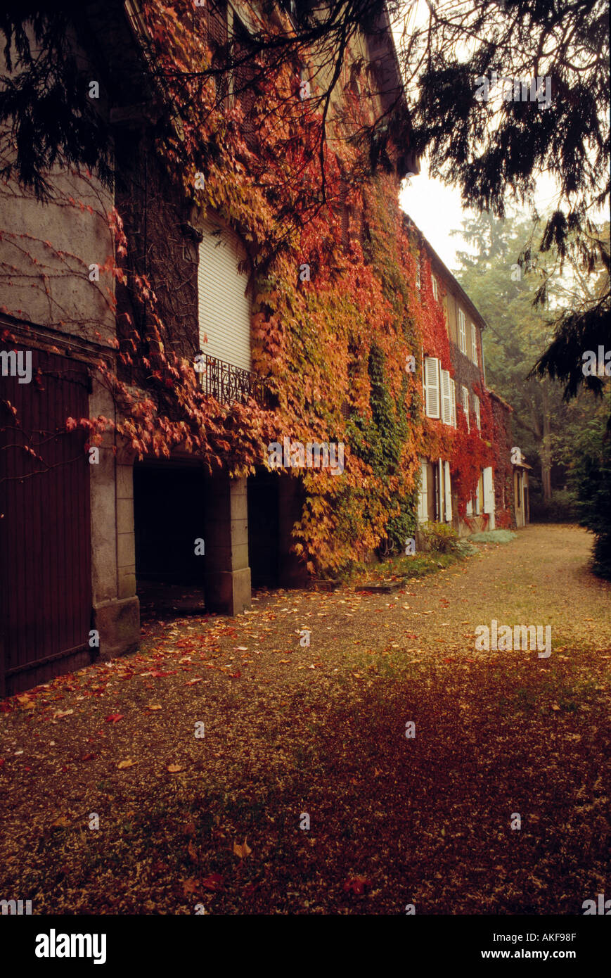 Old building covered with autumn leaves Stock Photo - Alamy