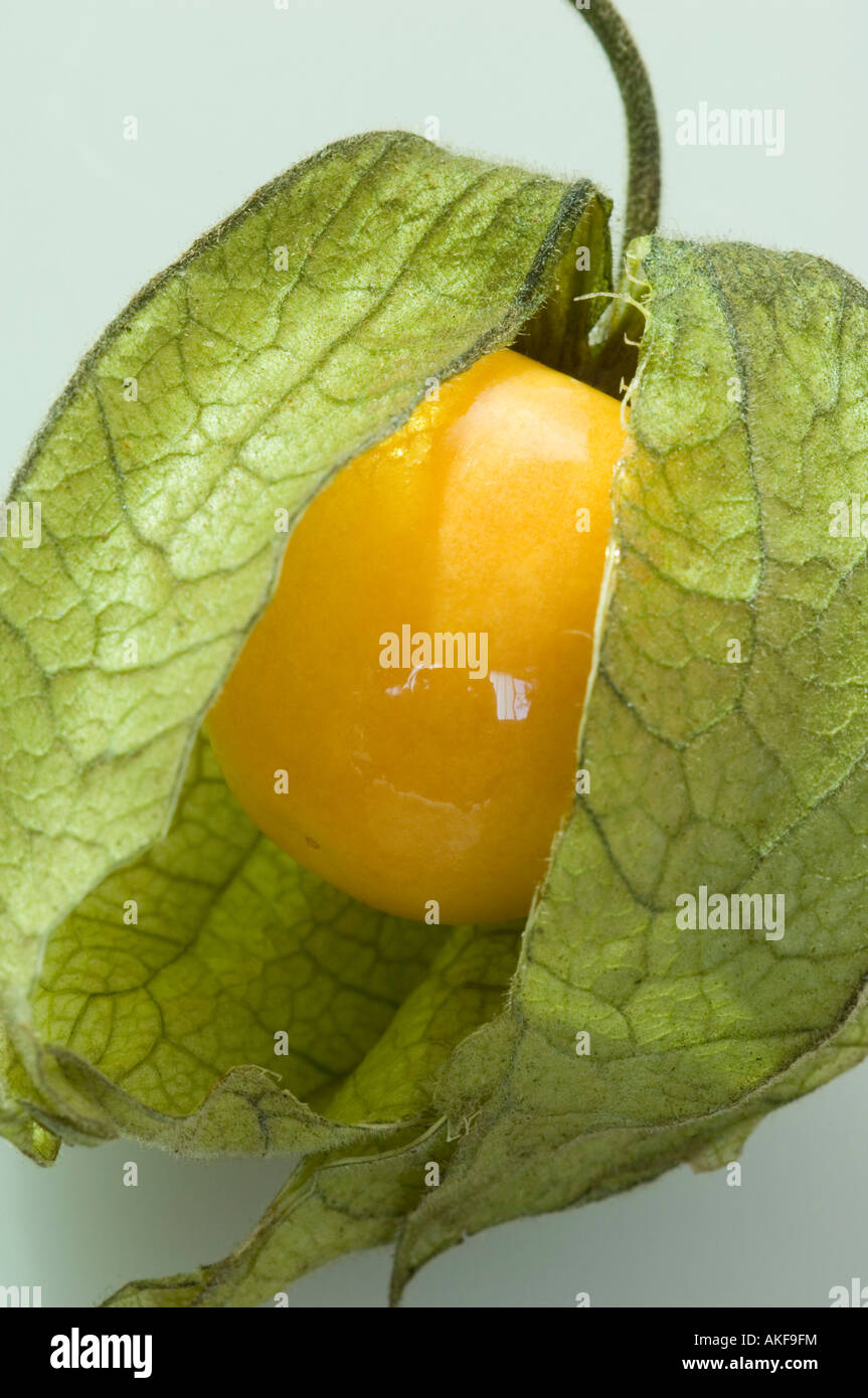 Golden berry hi-res stock photography and images - Alamy