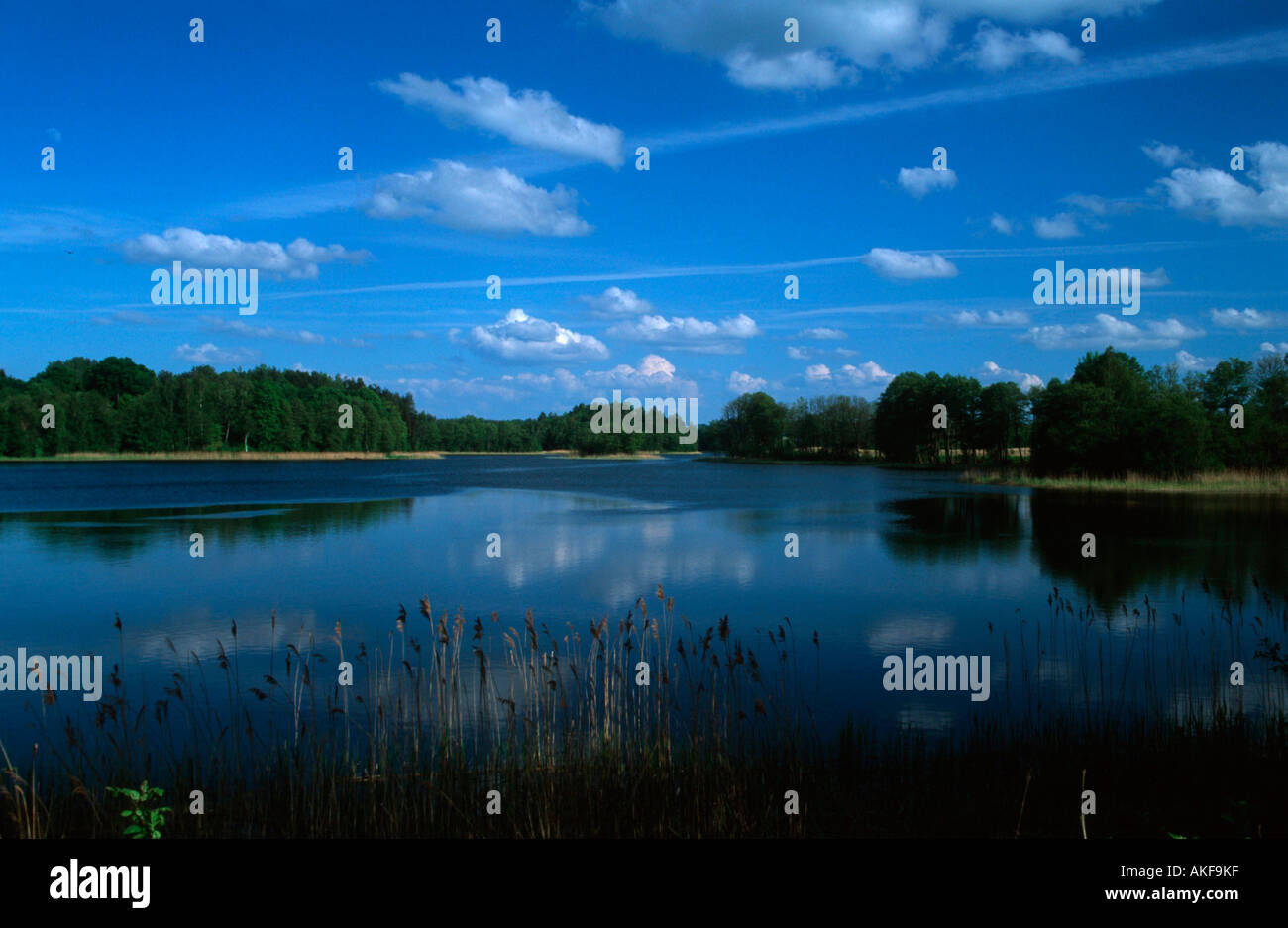 Labanoras regional park hi-res stock photography and images - Alamy