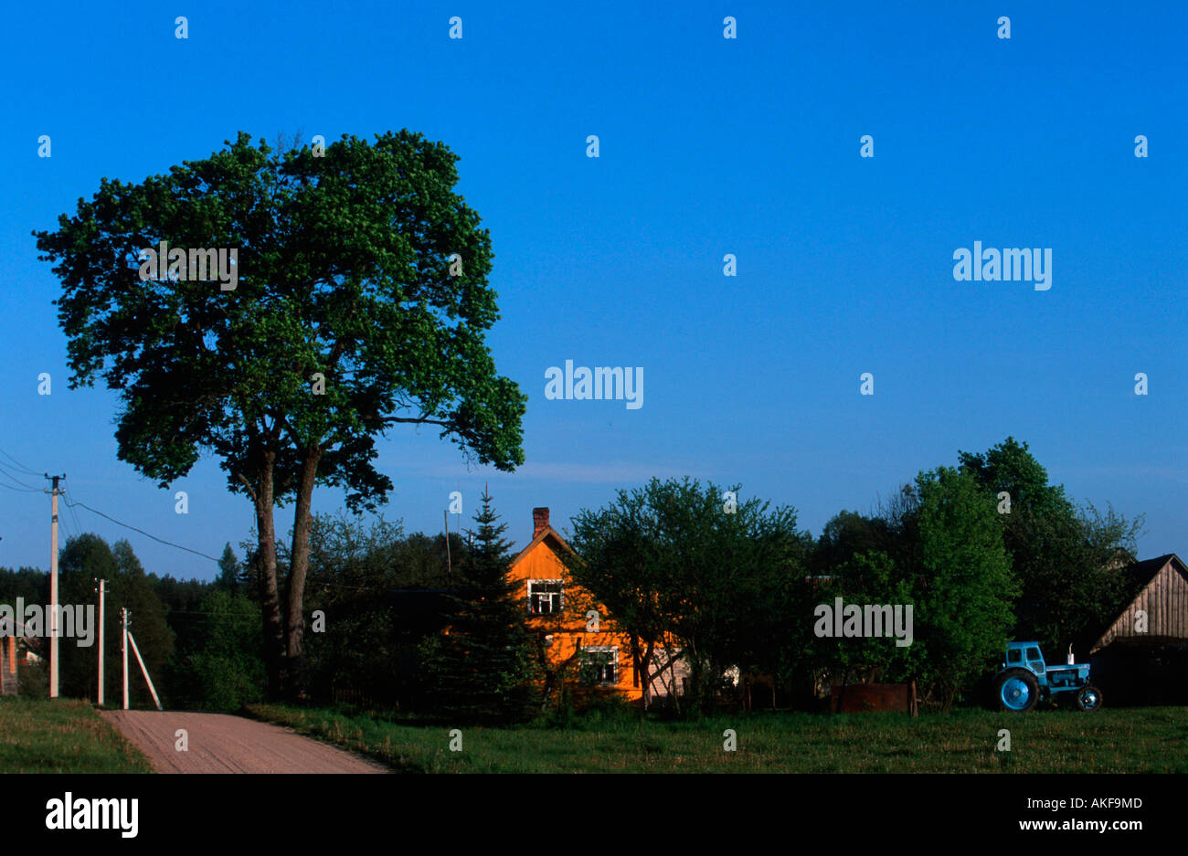 Labanoras regional park hi-res stock photography and images - Alamy