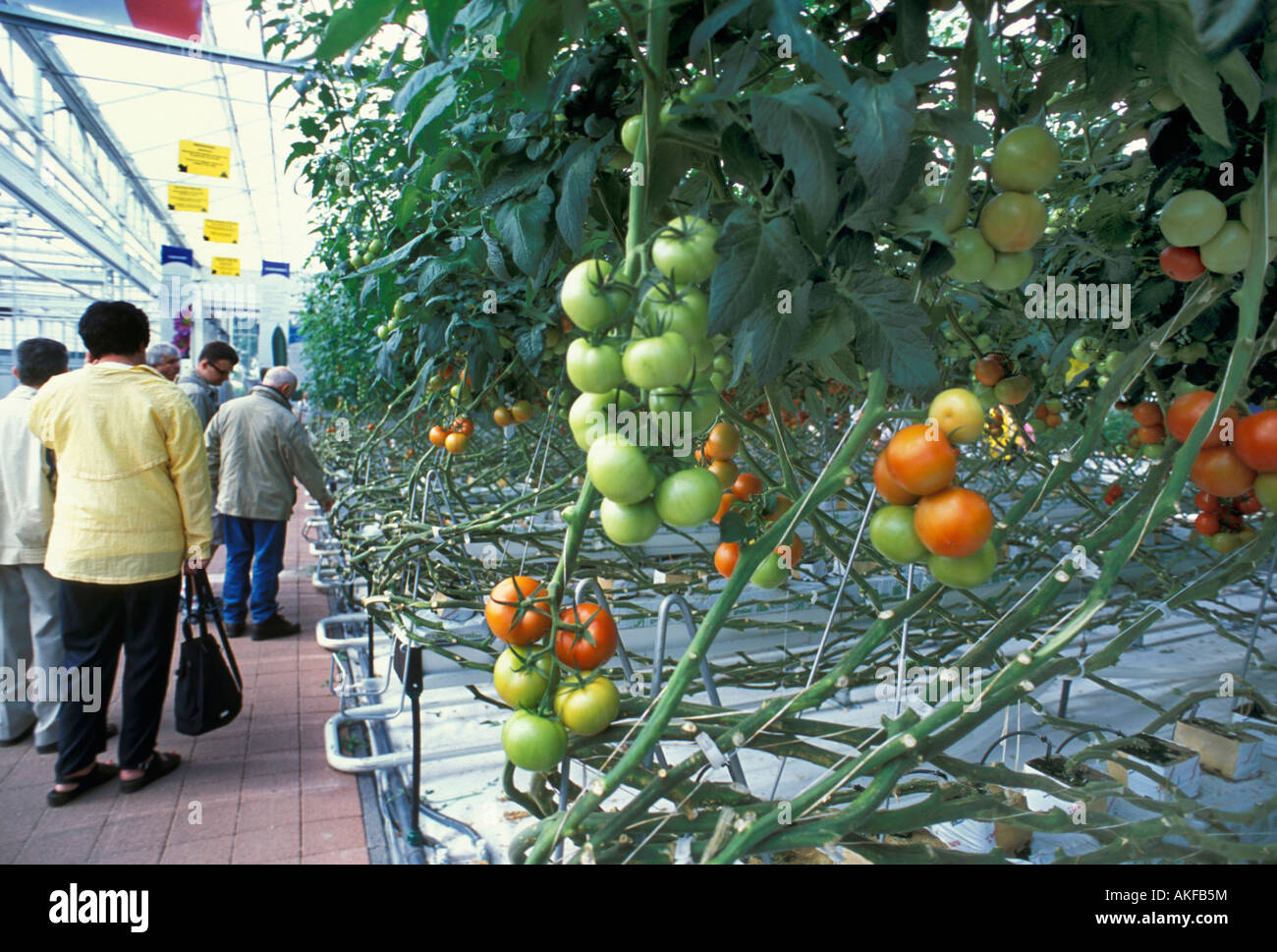floriade flowers exhibition, haarlem, holland Stock Photo - Alamy