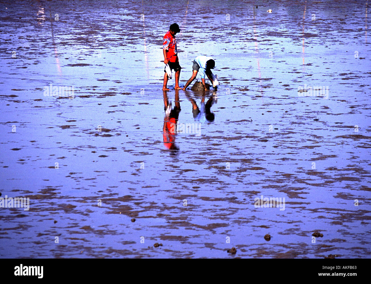 Children collecting shellfish at Panaji in Goa India Stock Photo - Alamy