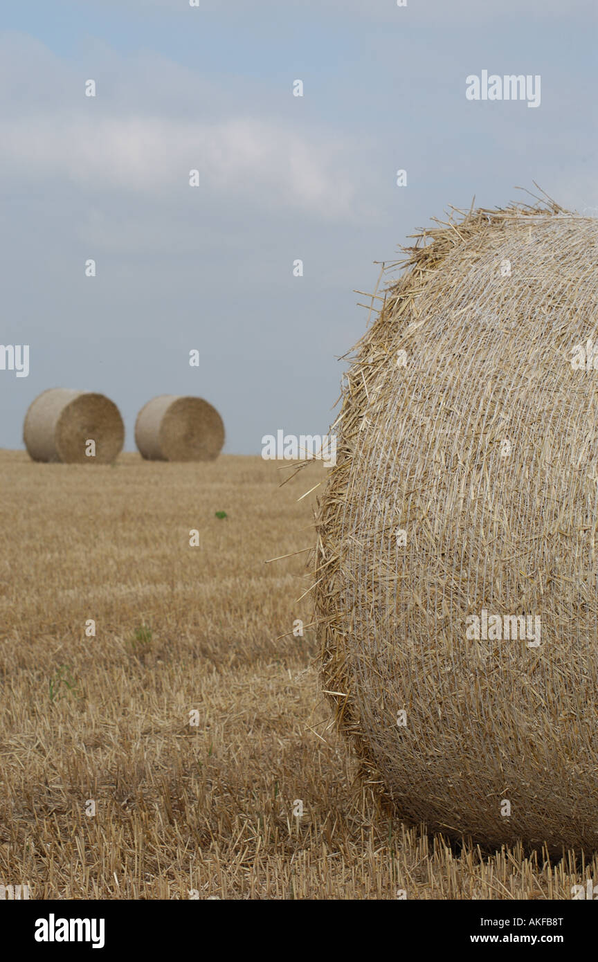 Round Straw Bails Stock Photo - Alamy