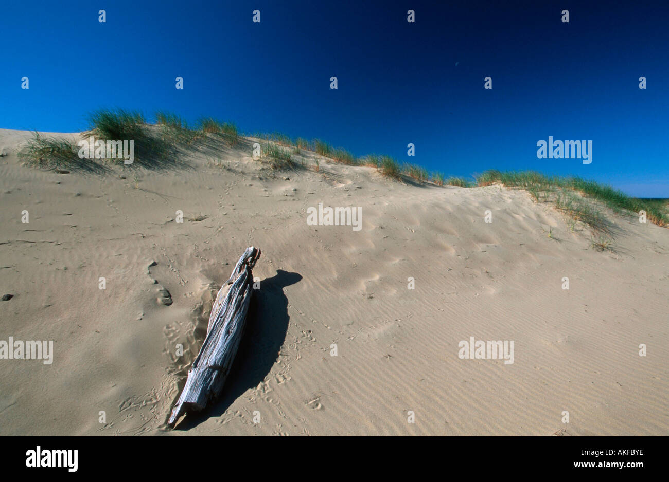 Kurische Nehrung Nida Nidden Stock Photos & Kurische Nehrung Nida ...