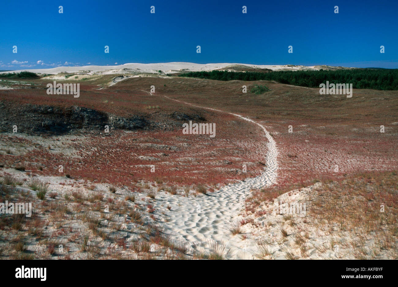 Osteuropa, Litauen, kurische Nehrung, Nida (Nidden), Parniddener Düne ...