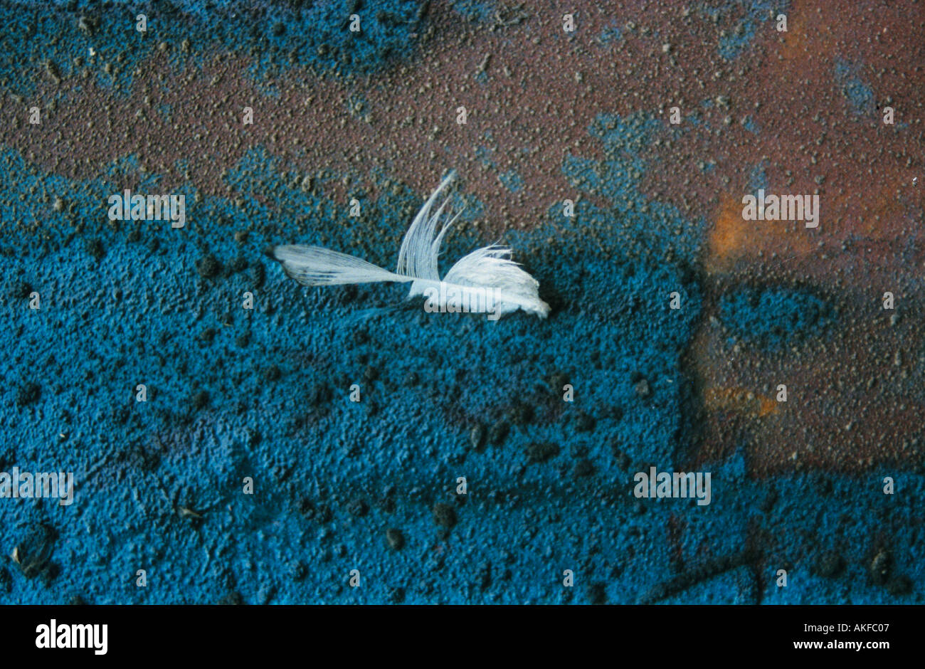 Feather Iron 1 Stock Photo - Alamy