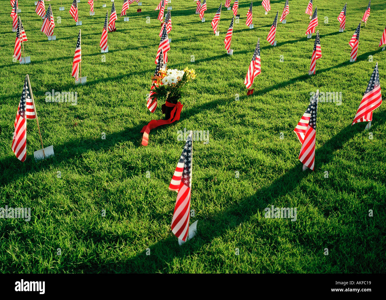 American flags Phoenix Arizona USA Stock Photo - Alamy