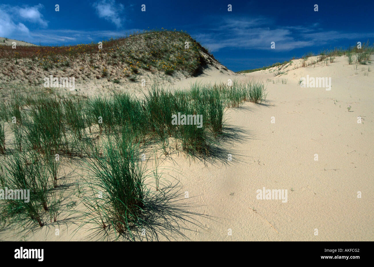 Osteuropa, Litauen, kurische Nehrung, Nida (Nidden), Parniddener Düne ...