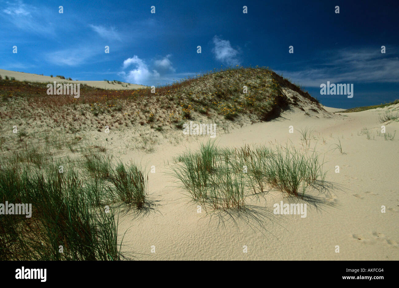 Osteuropa, Litauen, kurische Nehrung, Nida (Nidden), Parniddener Düne ...