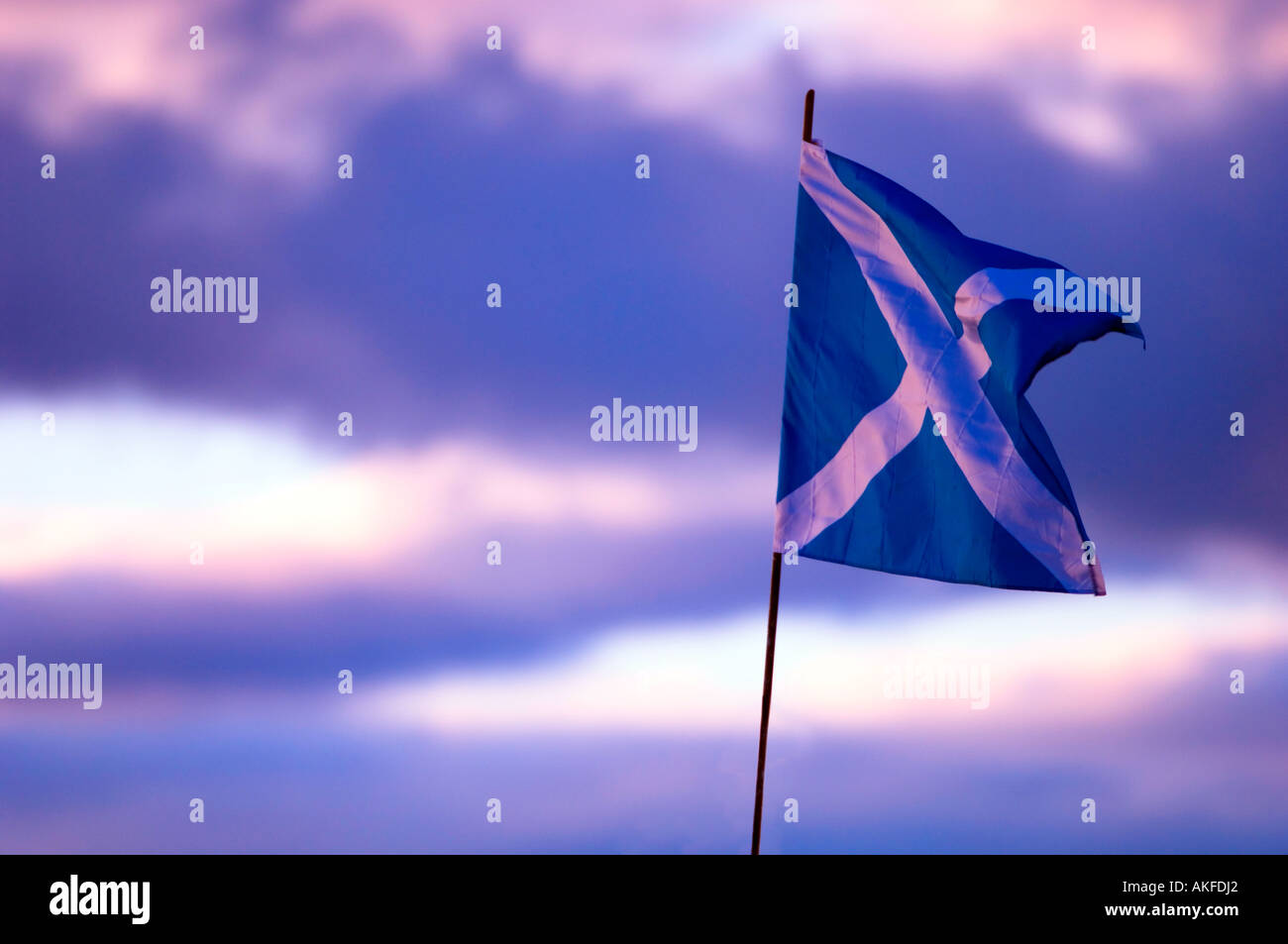 Scottish saltire flag flying from flag pole at dusk Stock Photo - Alamy