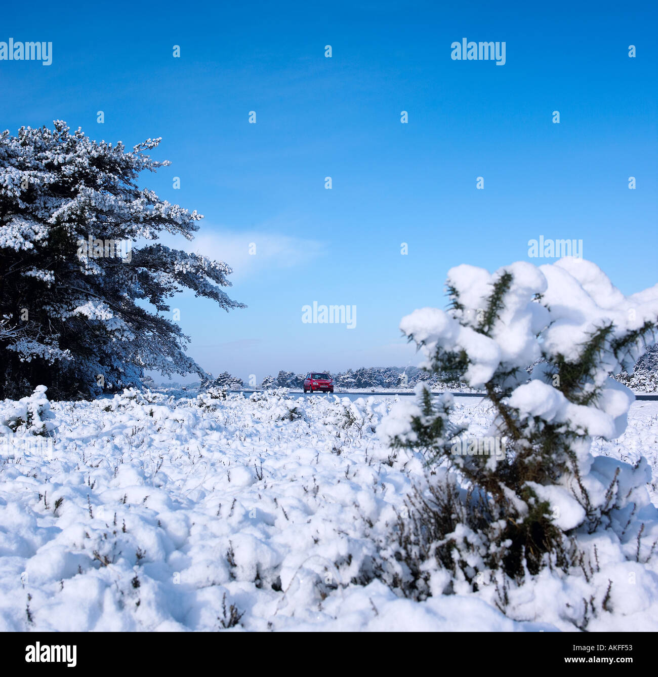 A snowy country road scene Stock Photo - Alamy