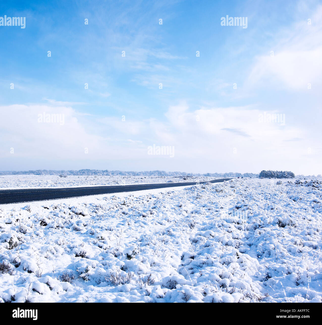 Road snow forest hi-res stock photography and images - Alamy