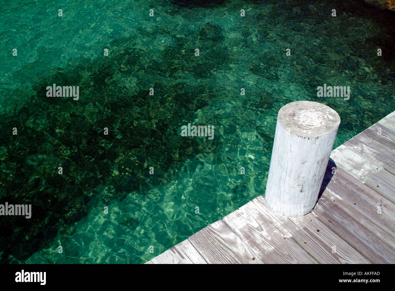 Green turtle cay abaco bahamas hi-res stock photography and images - Alamy