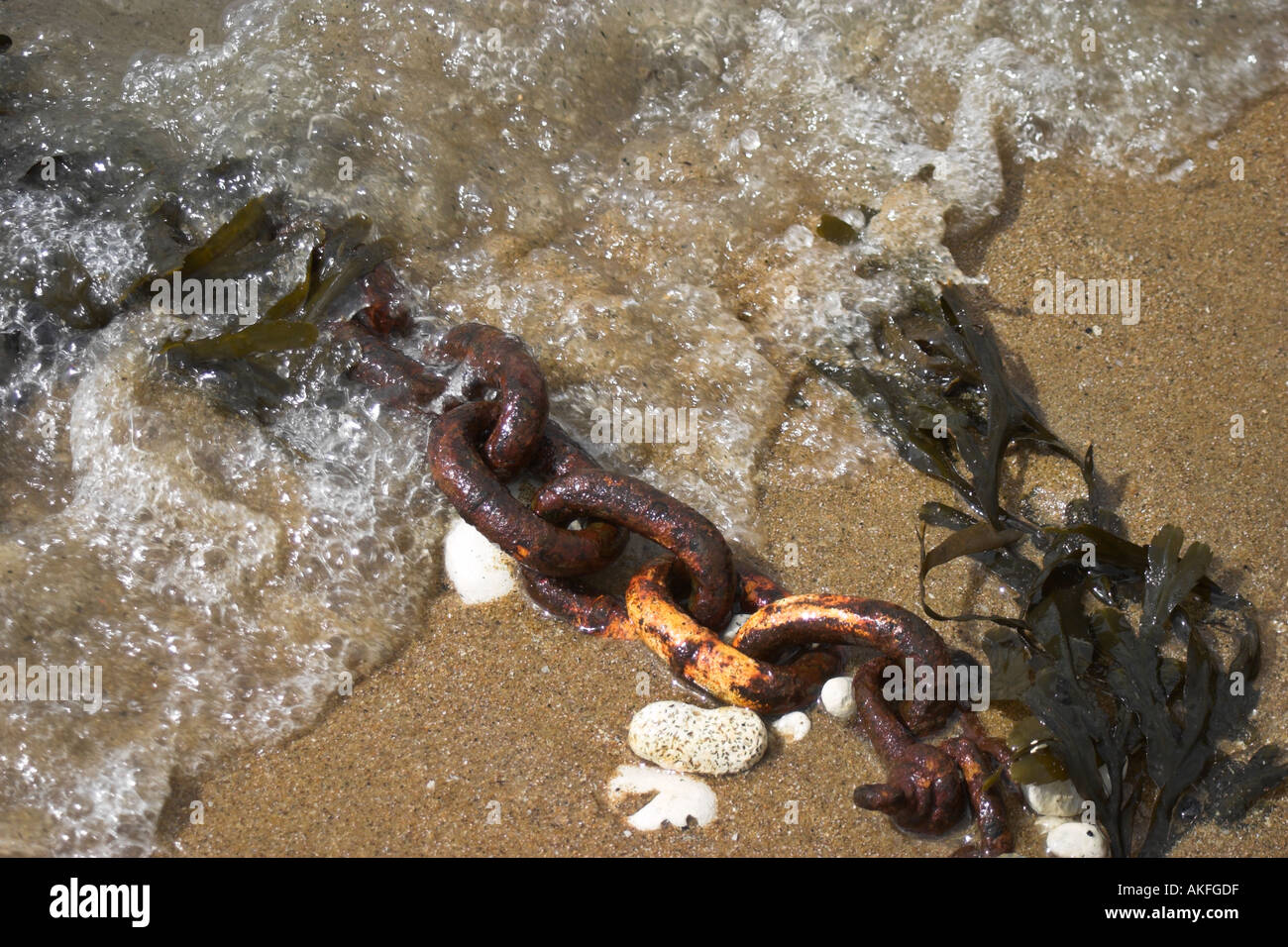 Seaweed On Broadstairs Beach High Resolution Stock Photography and ...