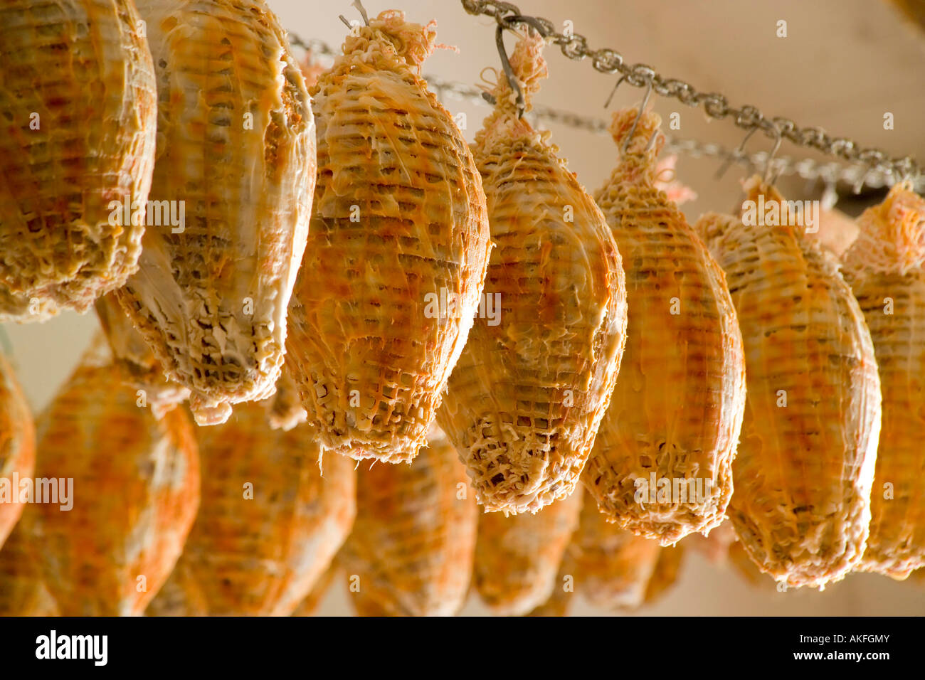 Ventricina del Vastese salami, Scerni, Abruzzo, Italy Stock Photo - Alamy