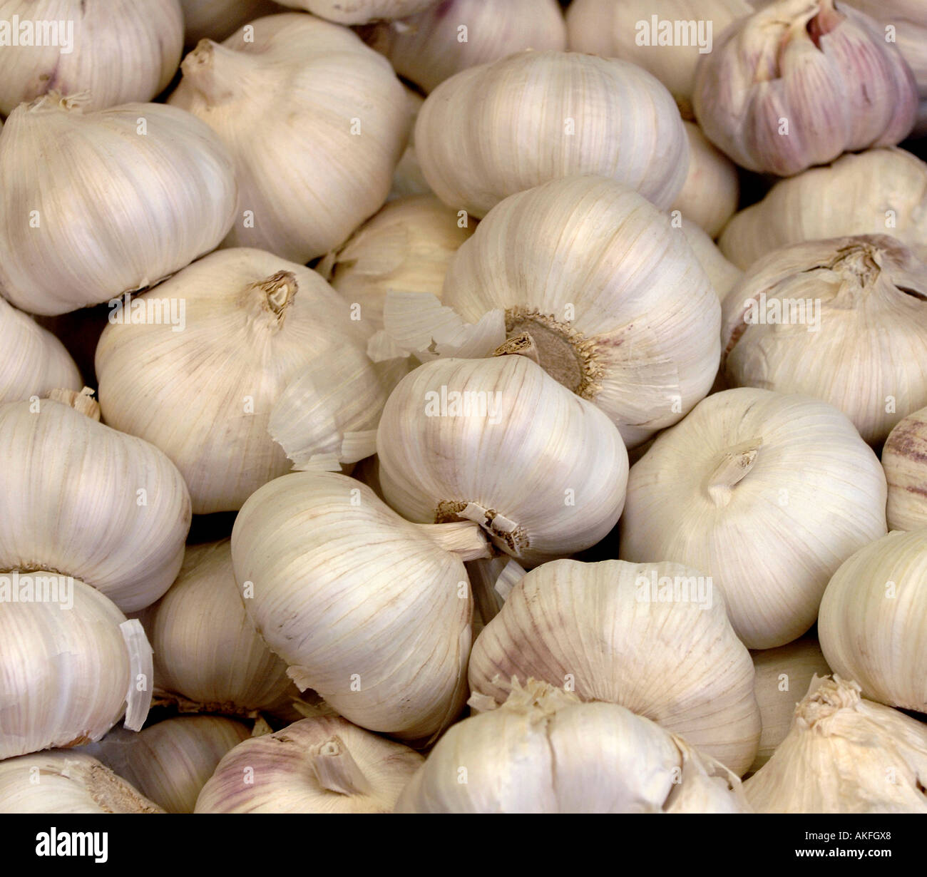 Bulbs of garlic at a French market stall in the UK. Picture by Jim ...