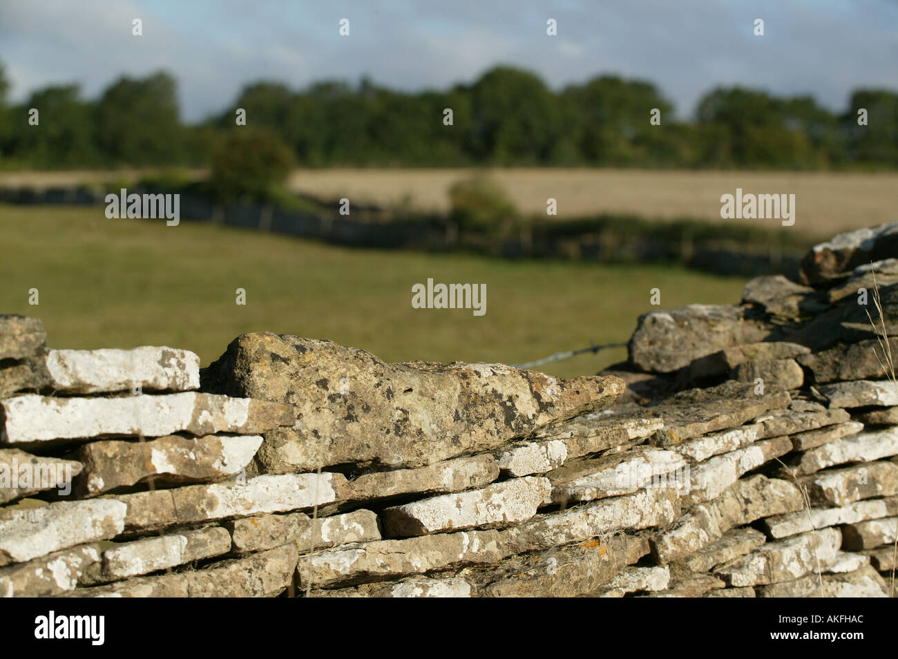 Typical farming scene in the west of Britain with broken dry stone wall ...