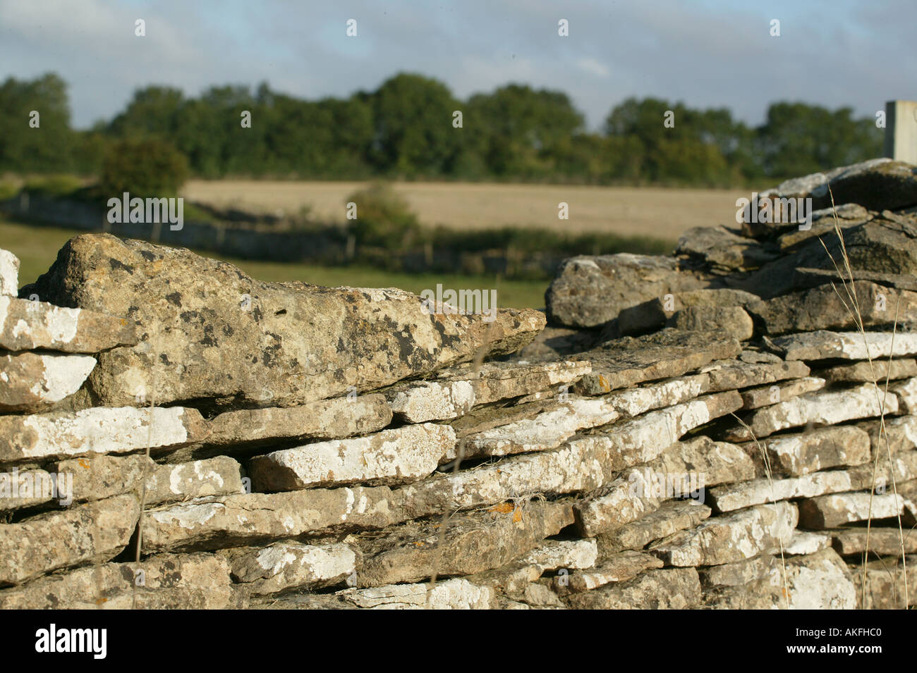 Typical farmimng scence in the west of Britain with broken dry stone ...