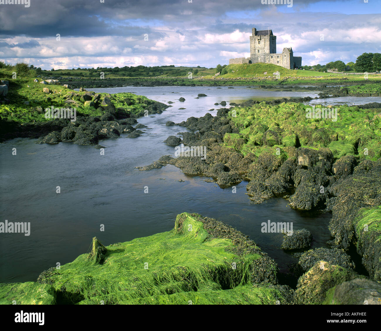 Dunguaire castle kinvara co galway hi-res stock photography and images ...