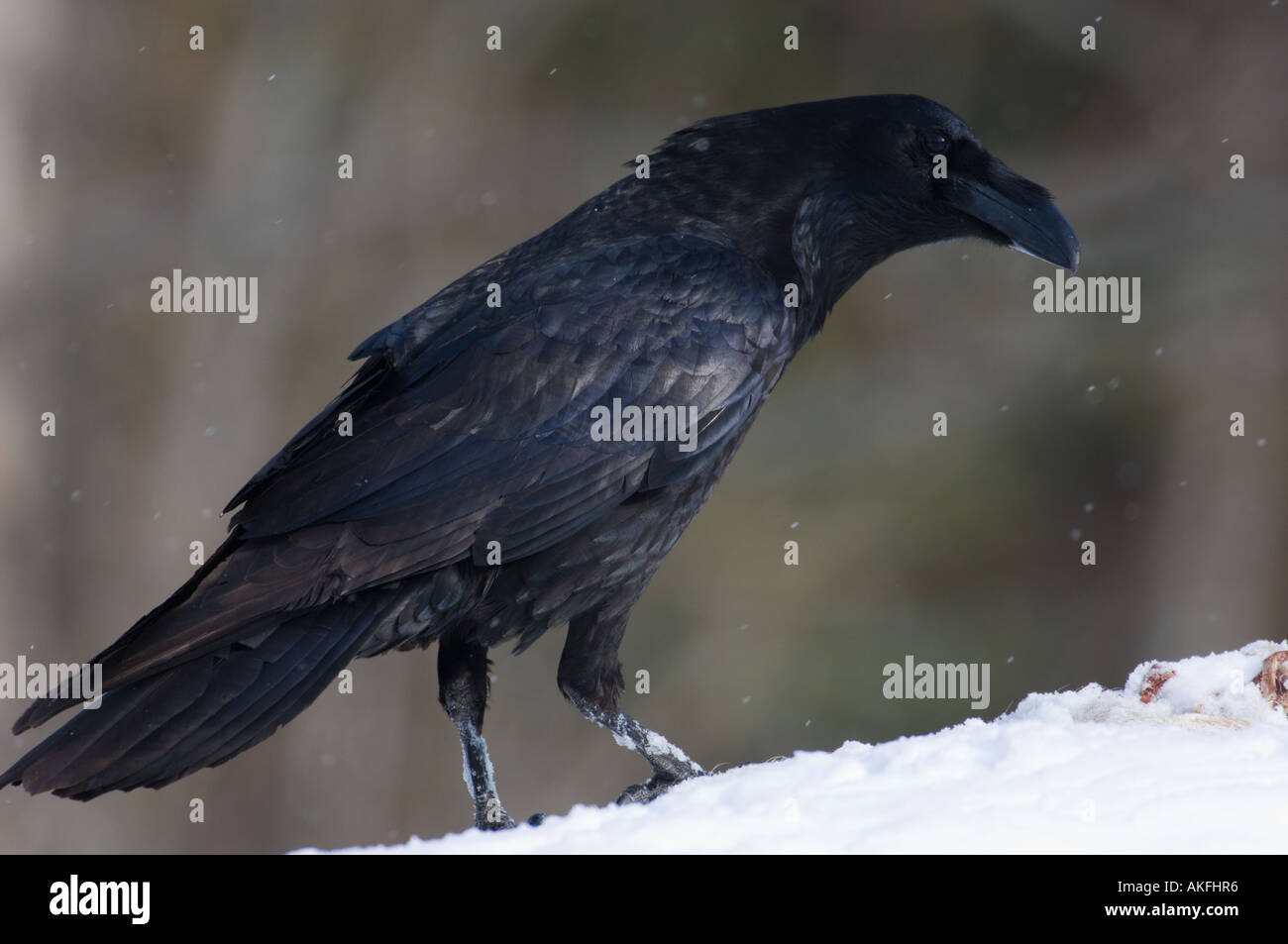 Suursoo hi-res stock photography and images - Alamy