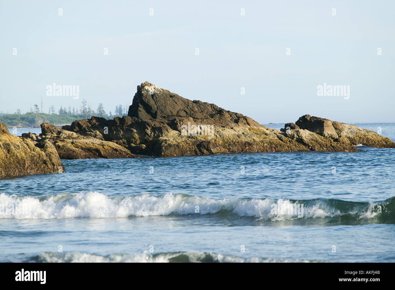 Rugged Point West Coast Vancouver Island British Columbia Canada Stock ...