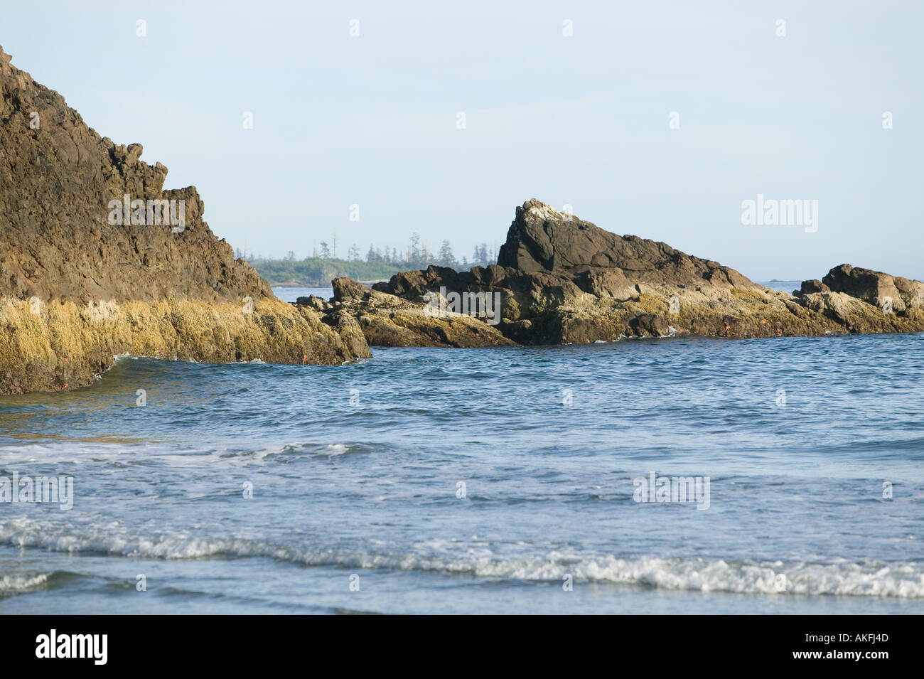 Rugged Point West Coast Vancouver Island British Columbia Canada Stock ...