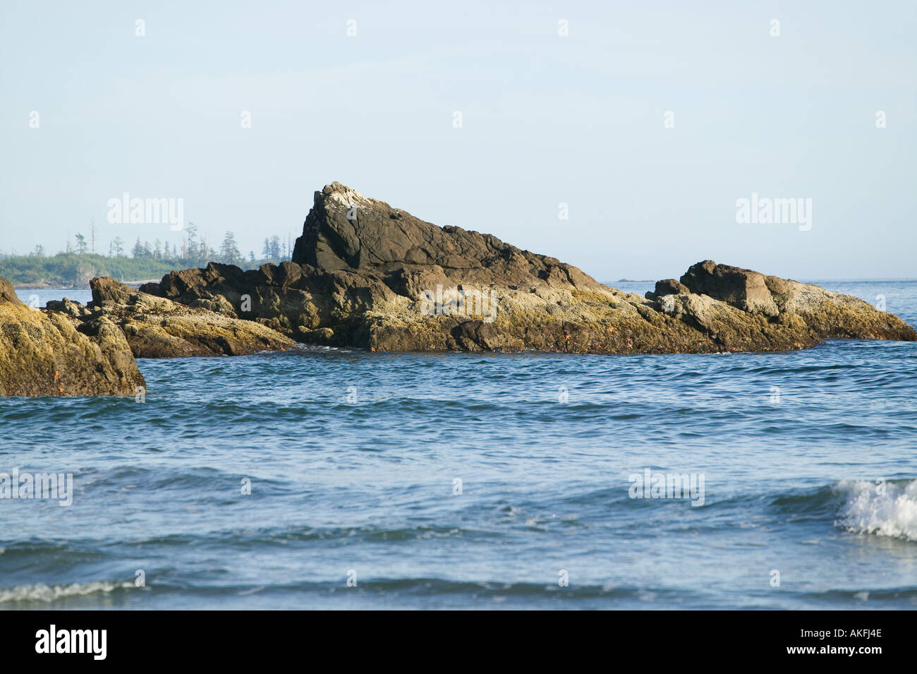 Rugged Point West Coast Vancouver Island British Columbia Canada Stock ...