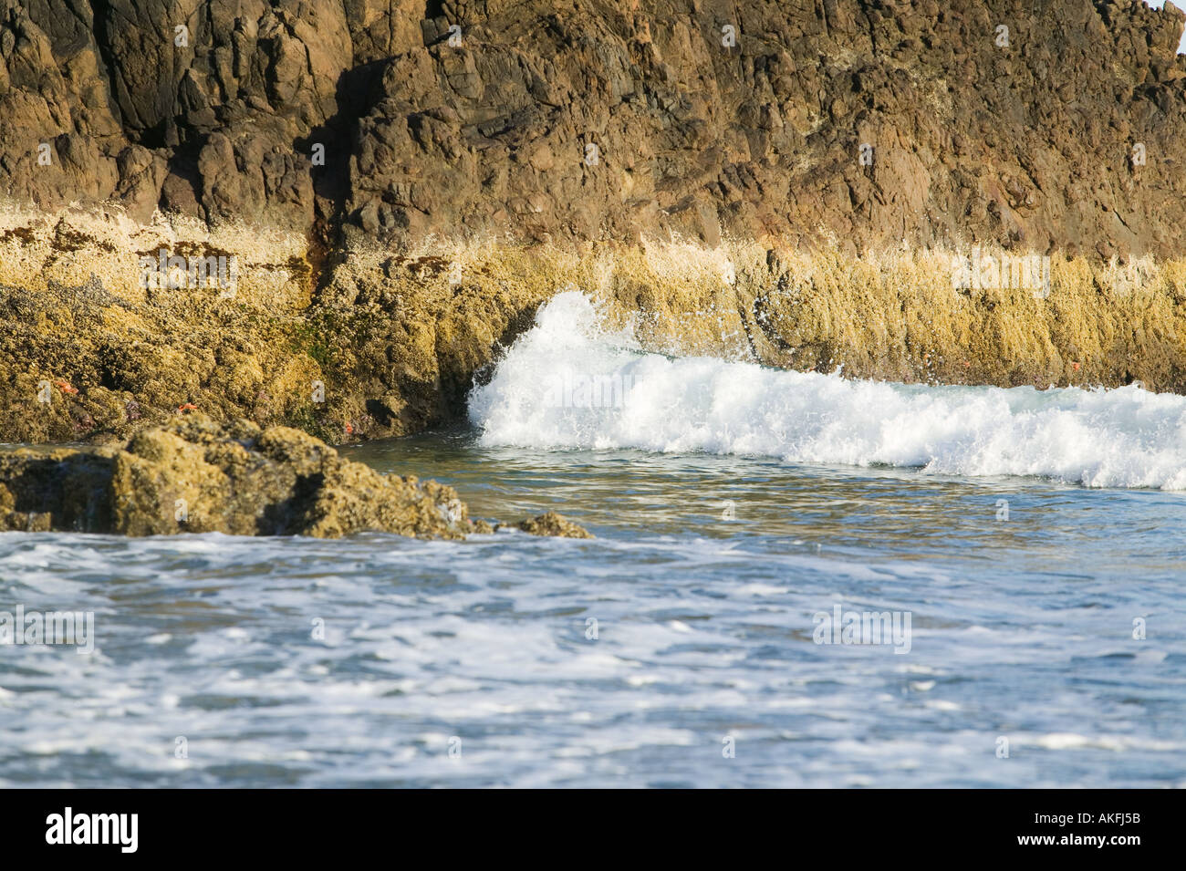 Rugged Point West Coast Vancouver Island British Columbia Canada Stock ...