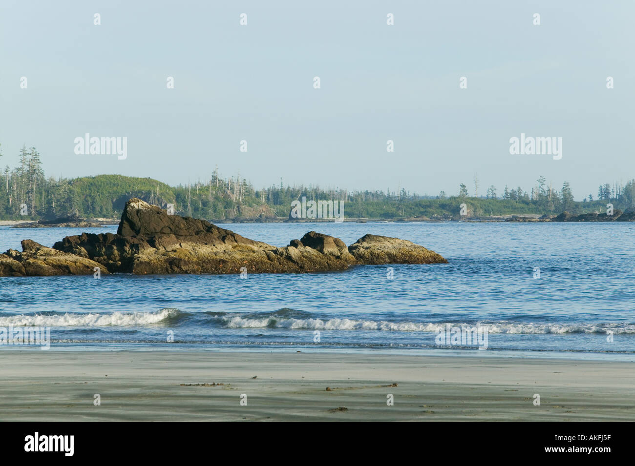 Rugged Point West Coast Vancouver Island British Columbia Canada Stock ...