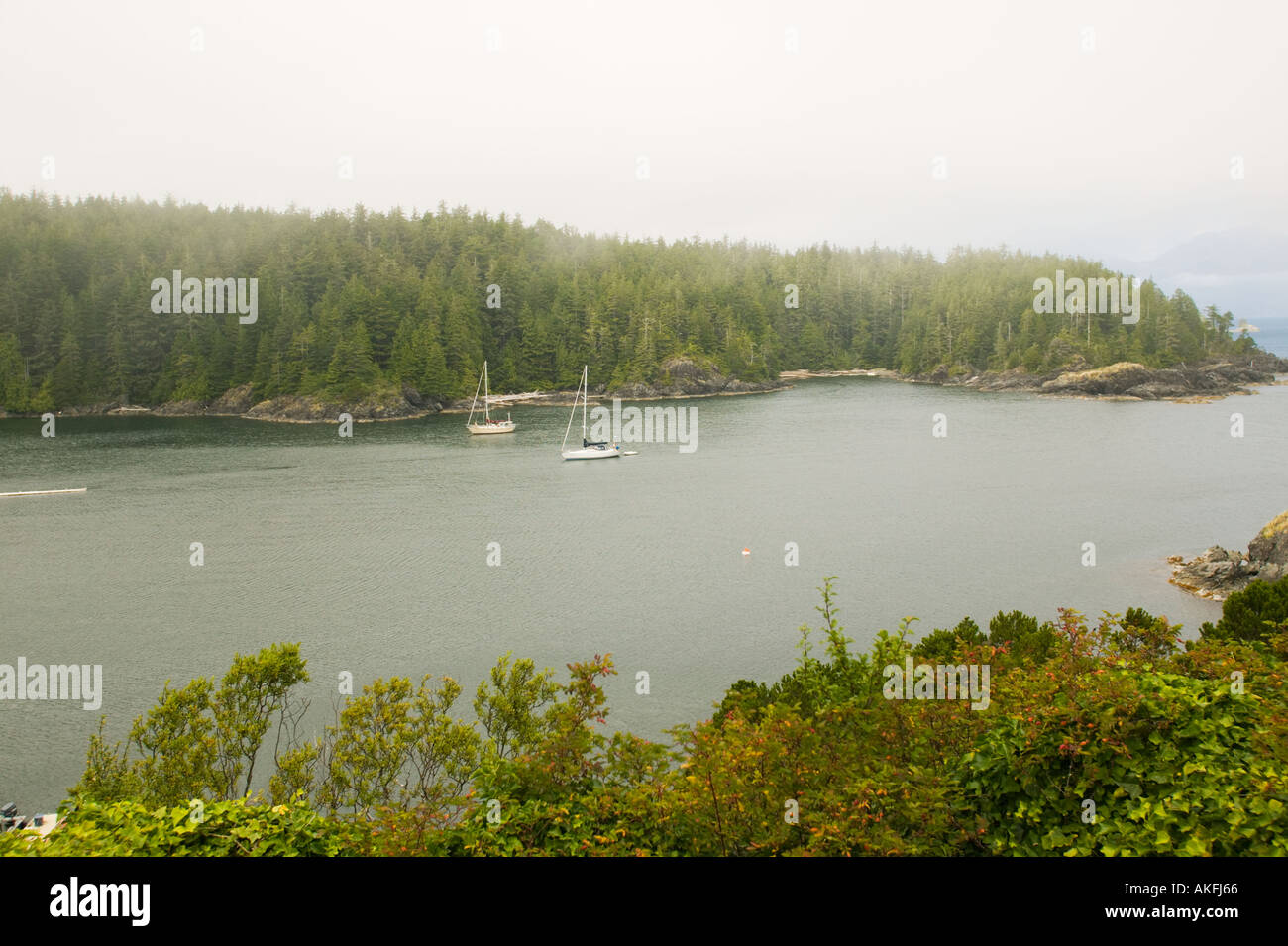 Friendly cove hi-res stock photography and images - Alamy