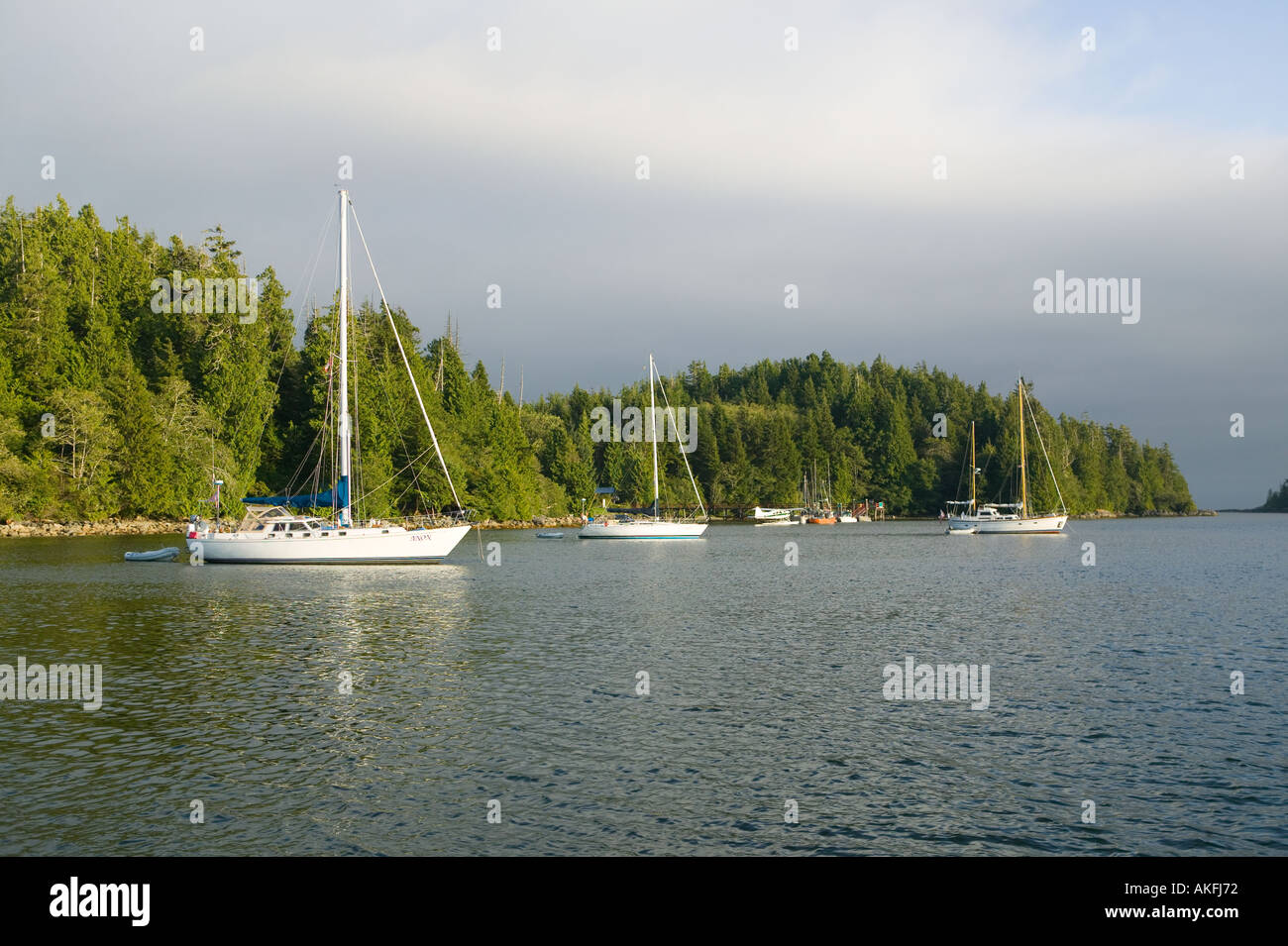 Boats at anchor Hot Springs Cove Clayoquot Sound West Coast Vancouver ...