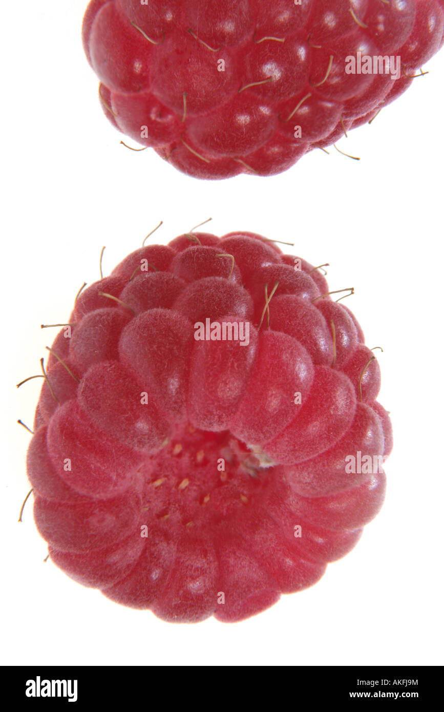 Raspberry fruit detail isolated on white background Stock Photo - Alamy