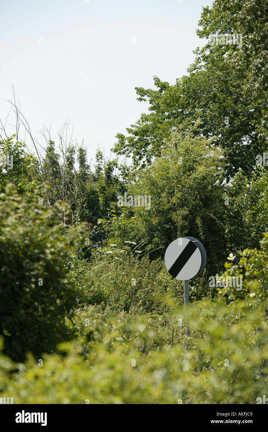 Rural road sign hidden within bushes illustrating concept of human ...