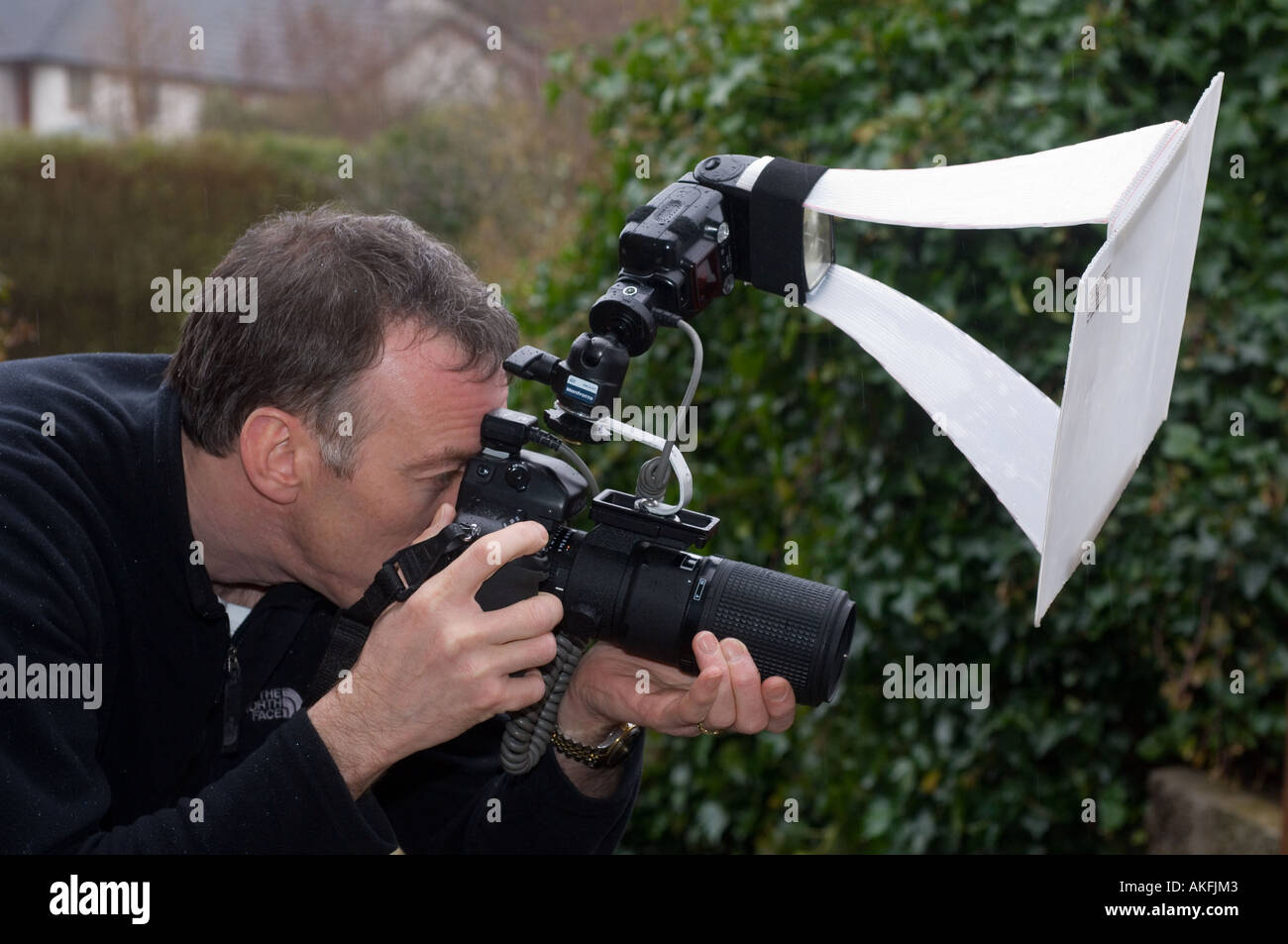Person photographing insect hi-res stock photography and images - Alamy