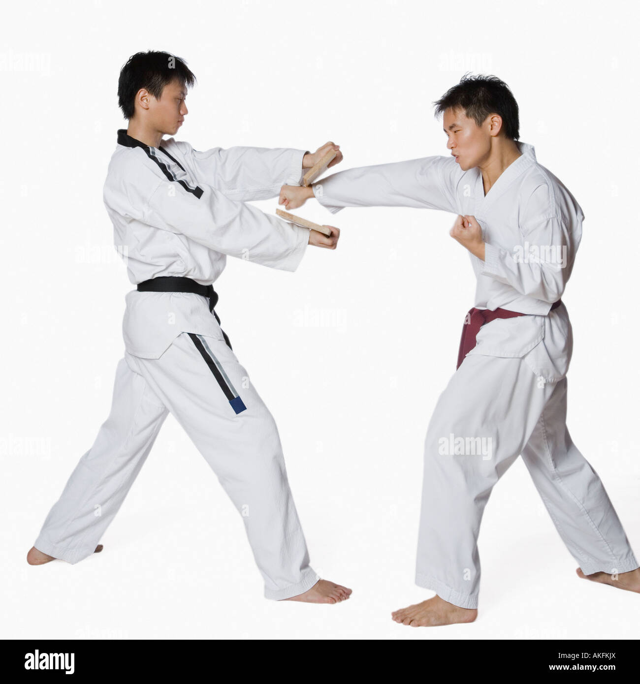 Male karate instructor teaching martial arts to a young man Stock Photo ...