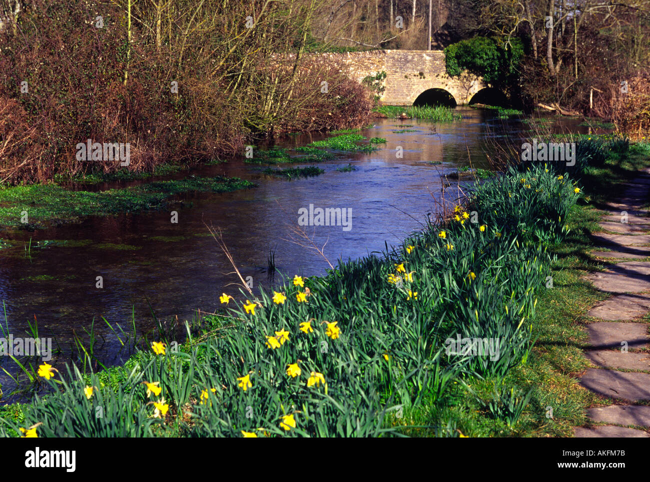 River Leach Eastleach Gloucester Cotswolds England UK Stock Photo - Alamy