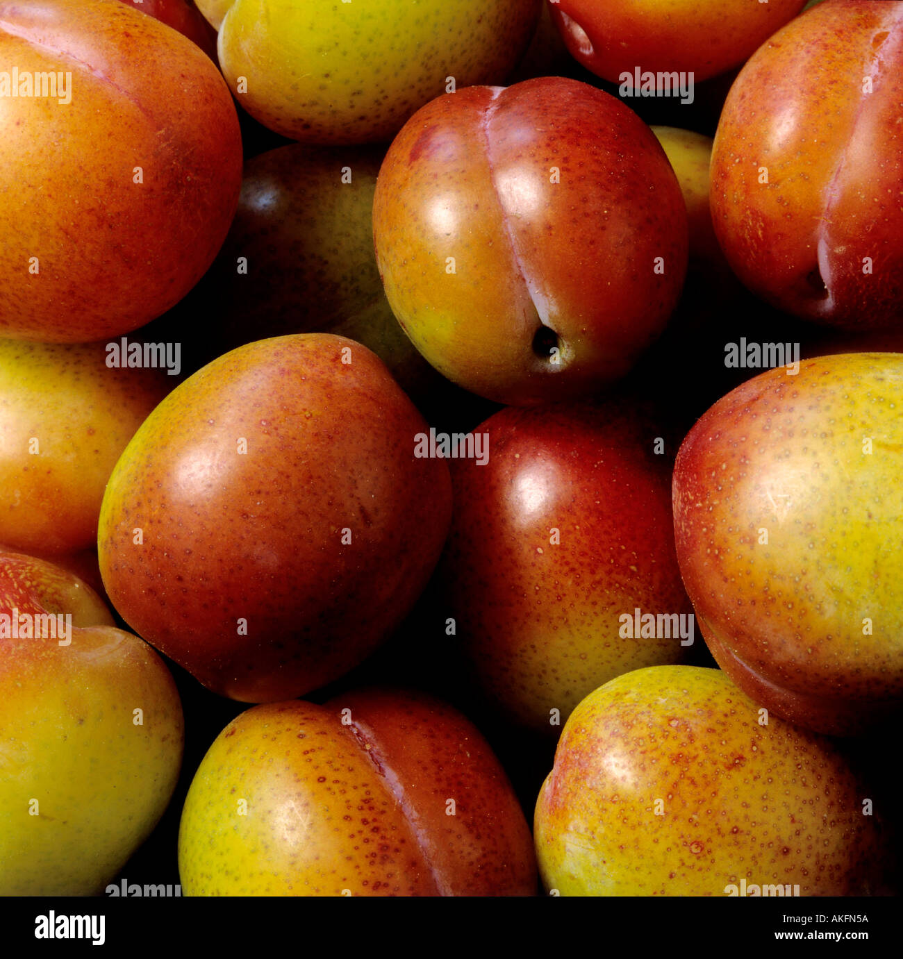 victoria plums great britain Stock Photo - Alamy