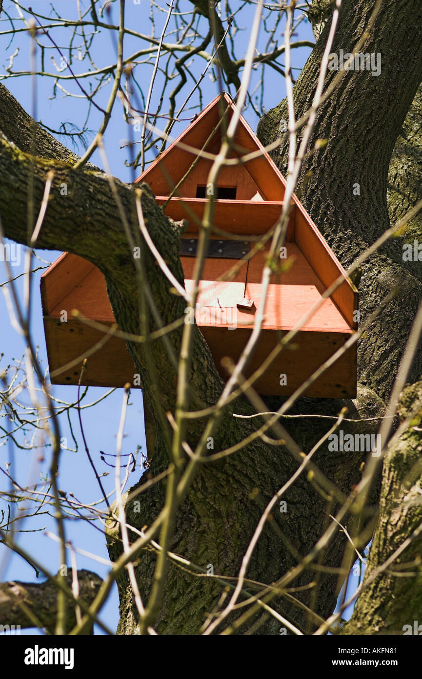 Barn owl nestbox at the RSPB nature reserve at Coombes Valley ...