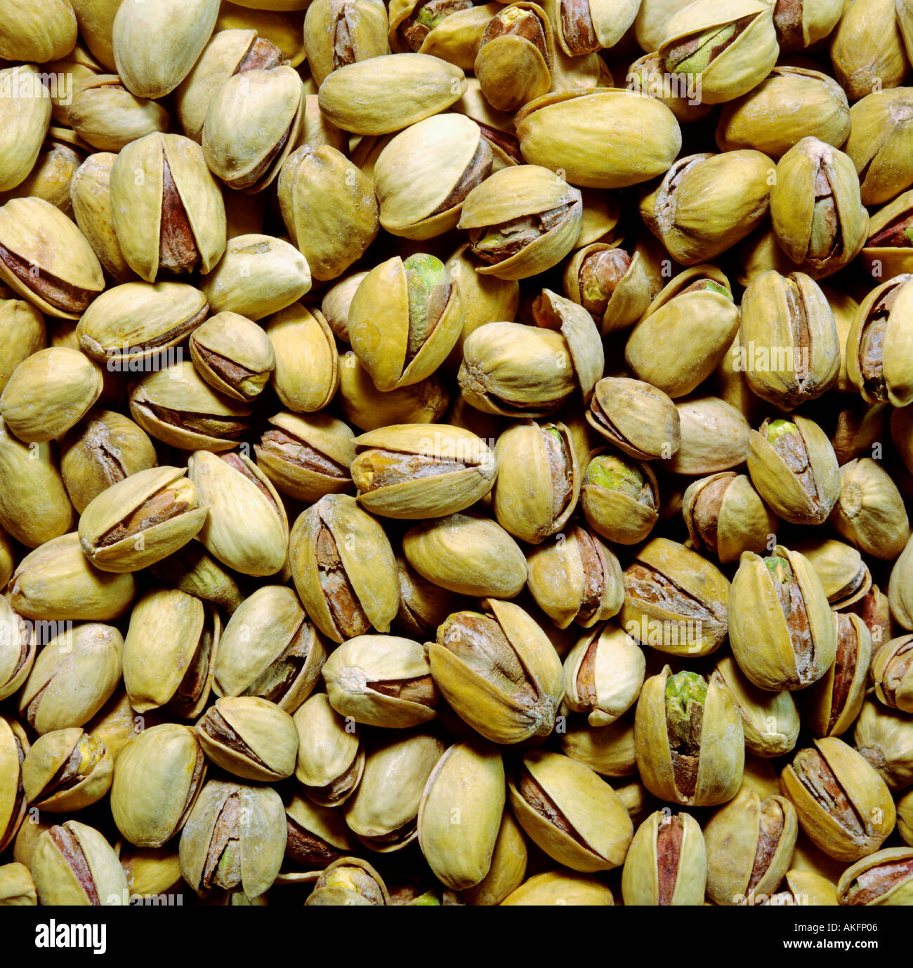 Struktur shell hi-res stock photography and images - Alamy